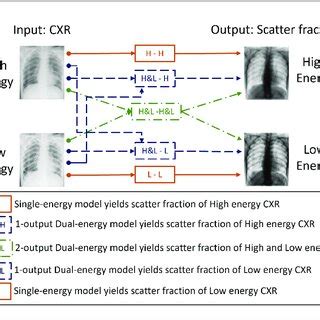 Scheme Of Input And Output Images Corresponding To The 3 Neural Network Download Scientific
