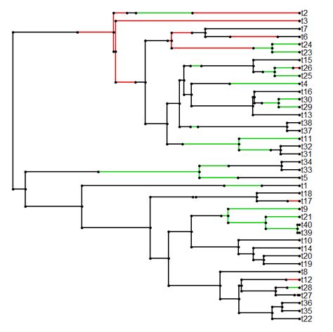Phylogenetic Tools For Comparative Biology Convert A Tree With A