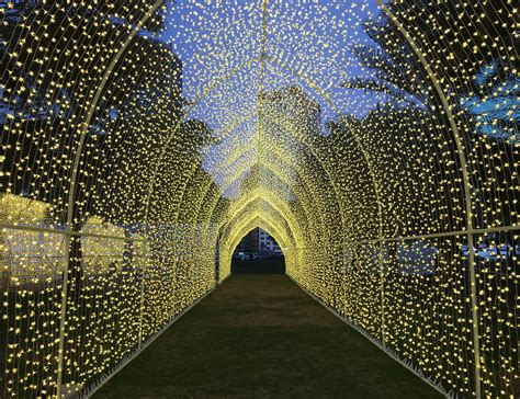 Light tunnel | Световой тоннель ضوء نفق Túnel de luz | Irina Yaneya ...
