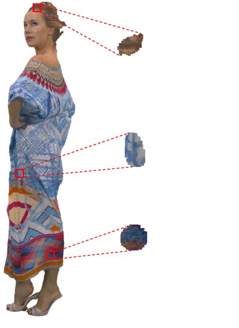 Structure Guided Local Region Construction Of A Distorted 3d Point Download Scientific Diagram