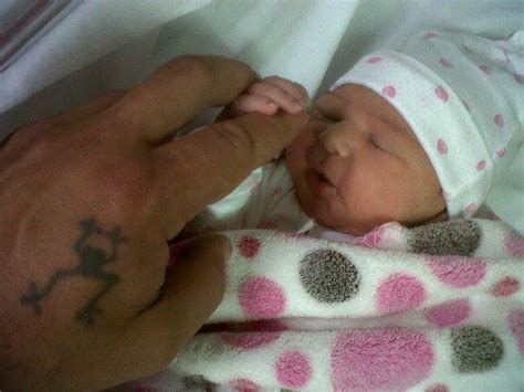 Serially Homologous Dragonflyissuesinevolution13 Wiki Fandom