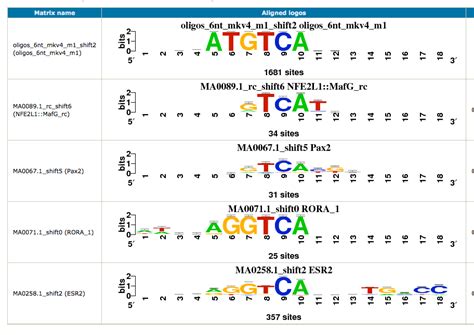 Workshop Chip Seq Data Analysis