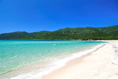 Corsica Beaches France Bonjour Corsica — Flying Dawn Marie Travel