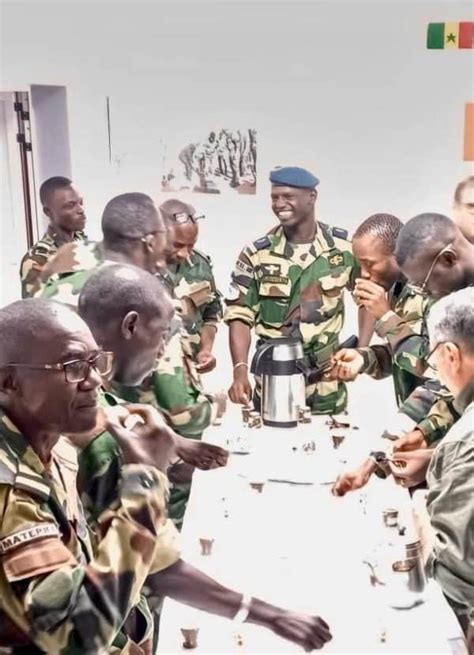 Services Triarii International Consulting Group Llc