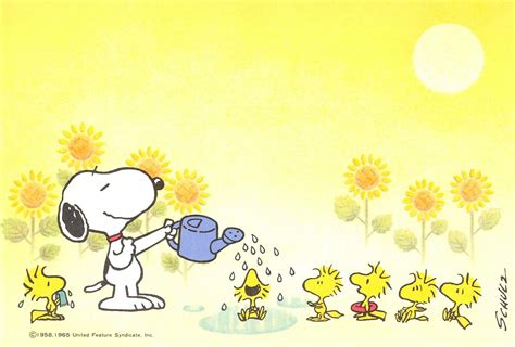 Pin By Lisa Stacey On Snoopy Snoopy Wallpaper Snoopy Love Snoopy