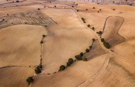 Taller De Fotografía Aérea Con Drone Chavinandez Fotografía Y Filmación