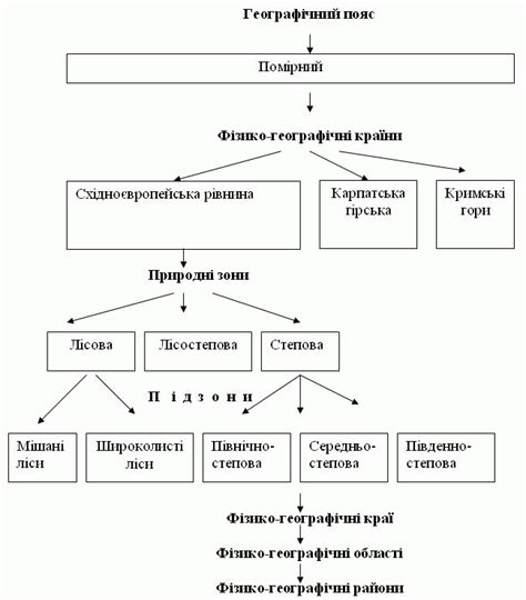 § 30 Фізико географічне районування Фізична географія України 8 клас