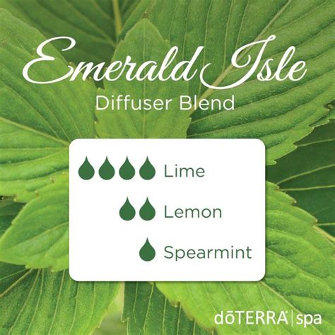 Doterra Spring Diffuser Blends With Essential Oils Best Essential