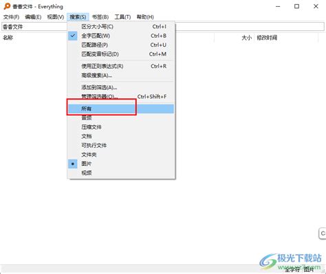 Everything搜索不到文件了怎么办？ Everything文件搜索不出来的解决方法 极光下载站
