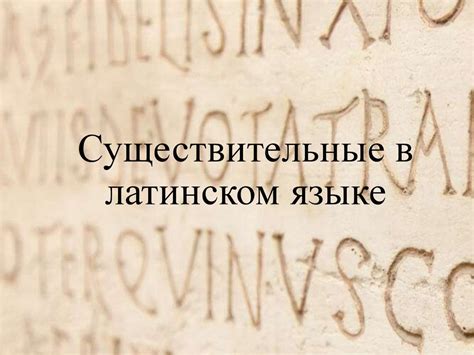 Существительные в латинском языке презентация онлайн