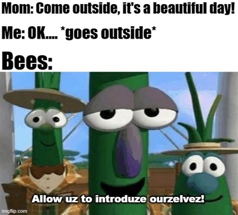 Bees Always Stop Me From Enjoying A Nice Day Imgflip