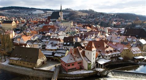 2019 Workshop On Phylogenomics Cesky Krumlov Evolution And Genomics