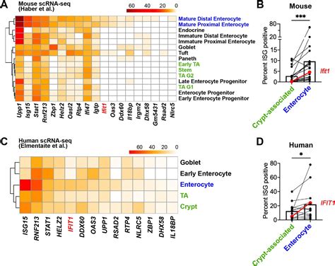 Homeostatic Interferon Lambda Response To Bacterial Microbiota Stimulates Preemptive Antiviral