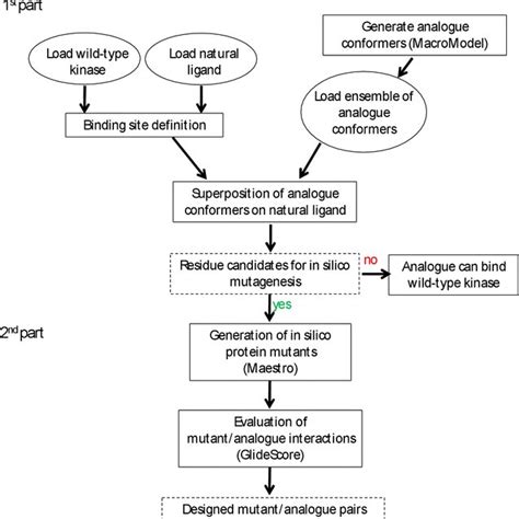 workflow of the computational protocol the protocol is organized in