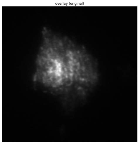 Pystackreg Tutorial Pystackreg Documentation