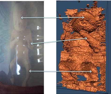 Comparison Of Top View Of Different 3d Visualization Methods Download Scientific Diagram