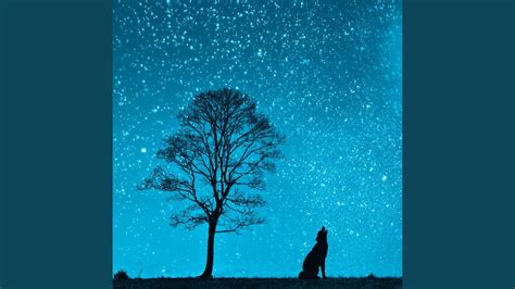 안정과 숙면 편안한 위안을 주는 감미로운 피아노 감성멜로디 Youtube Music