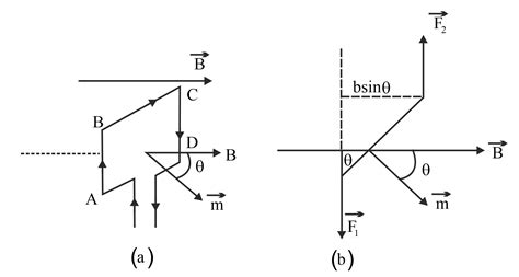 Derive The Torque On A Rectangular Currentcarrying Loop Placed In A Uniform Magnetic Field Draw