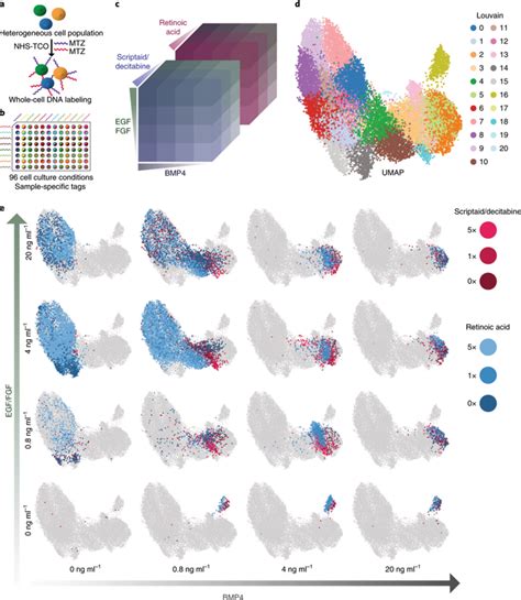 github pachterlab gpctp 2019 notebooks for reproducing figures and