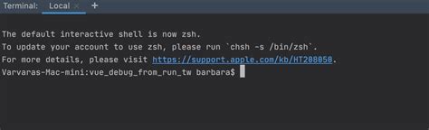 Terminal Webstorm Documentation