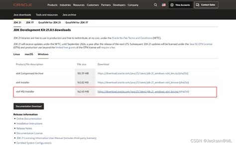 安装2023最新版java Se 2101来开发java应用程序java21安装 Csdn博客