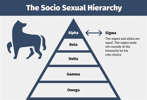 The New Socio Sexual Hierarchy How Sigma Males Are Revolutionizing Traditional Categories