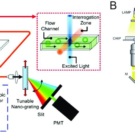 A Schematic Of The Microfluidic Multispectral Flow Cytometry Mmfc