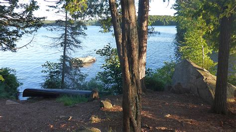 Big Trout Lake Campsite 12