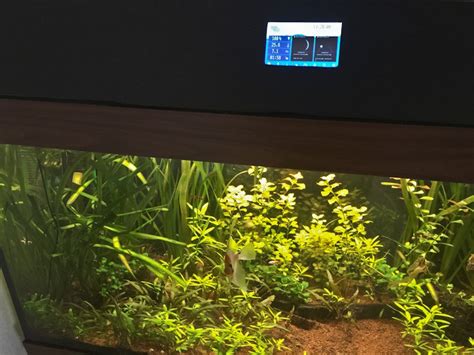 Projet Aquarium Un De Plus Page 10 Français Arduino Forum