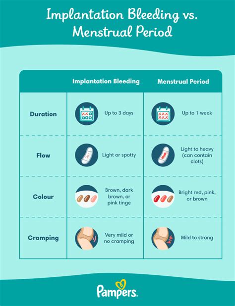 Implantation Bleeding 4 Weeks Pregnant