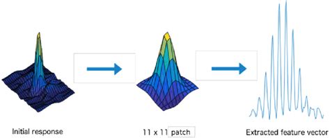 feature vector extraction for the proposed occlusion detection module