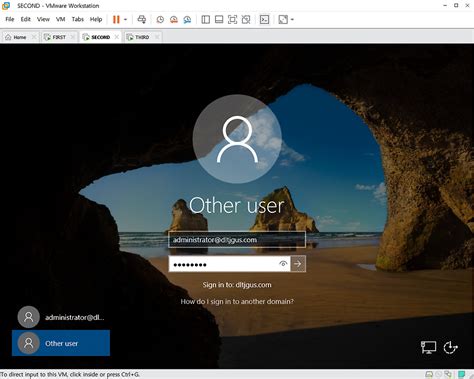 2024 11 19 active directory 그룹생성과 사용자그룹부여