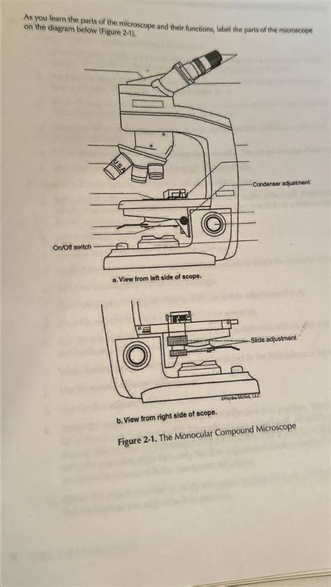 Solved As you learn the parts of the microscope and their | Chegg.com