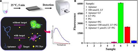 Frontiers Self Assembly And Label Free Fluorescent Aptasensor Based On Deoxyribonucleic Acid