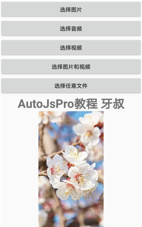 autojs之选择文件 autojs选择文件 csdn博客