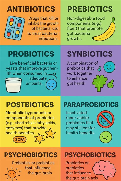 What Are Biotics Antibiotics Prebiotics Probiotics Synbiotics