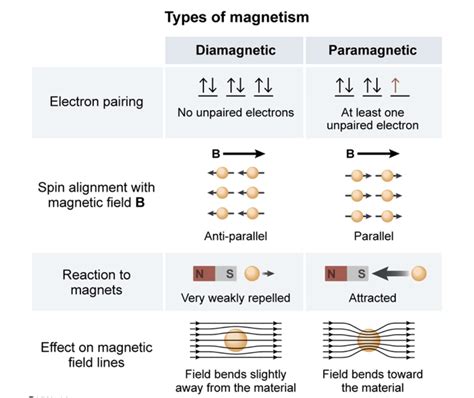 How Do I Learn Diamagnetic And Paramagnetic Mainly Need Help With