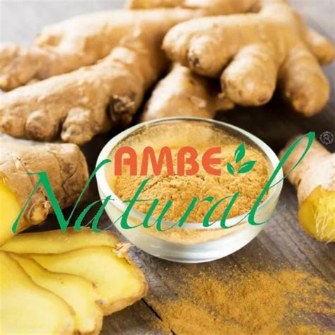 Ginger Root Extract At ₹ 1200kg Ginger Root Extract In Ghaziabad