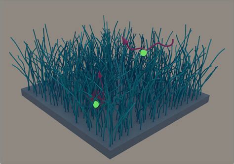 Imaging Heterogeneous 3d Dynamics Of Individual Solutes In A