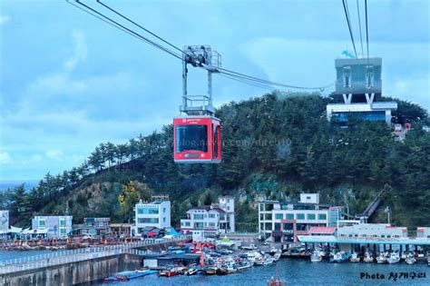 강원도 가족여행 삼척 여행코스 삼척 해상 케이블카 장호항 장호역 용화역 왕복 네이버 블로그