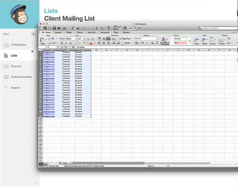 Mailchimp Adding Contacts To Your List Youtube