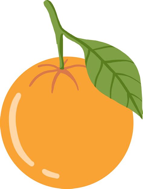 Orange Fruit Drawing
