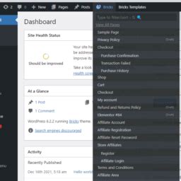 Bricks Admin Page Spider