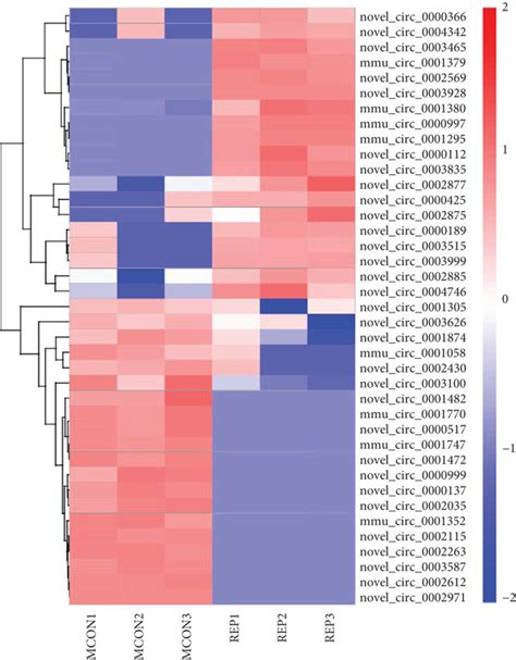 Hierarchical Clustering Of Circrna Expression Patterns Between The Ir Download Scientific