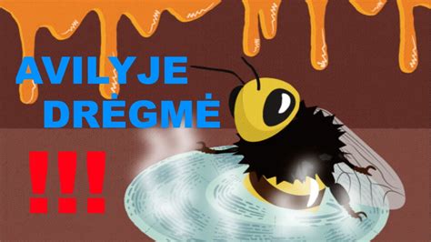 Ką Bitės Veikia žiemą Nemiega Aviliuose Drėgmė Youtube