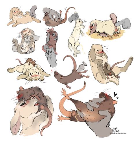 Rule 34 Ambiguous Gender Anal Anal Sex Animal Dildo Animal Genitalia