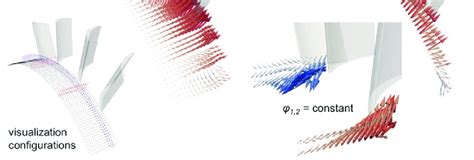 Representation Of The Three Dimensional Flow Field At Selected Regions Download Scientific