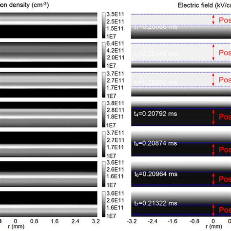 Spatial Distributions Of Electron Density And Electric Field With Time