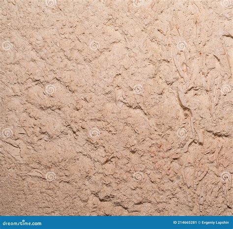 Fossilized Shell In Rock Sedimentary Rock Shell Rock Stock Image Image Of America Biology