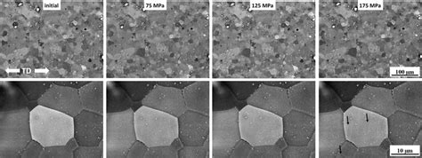 In Situ Se Imaging Of The Microstructure During Tensile Loading Along Download Scientific